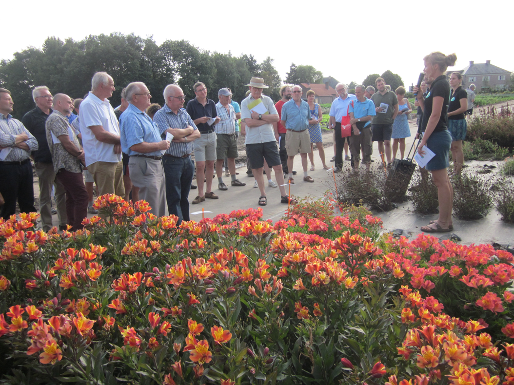 Terugblik proefveldbezoek innovatieve teelten op PCG | ccbt